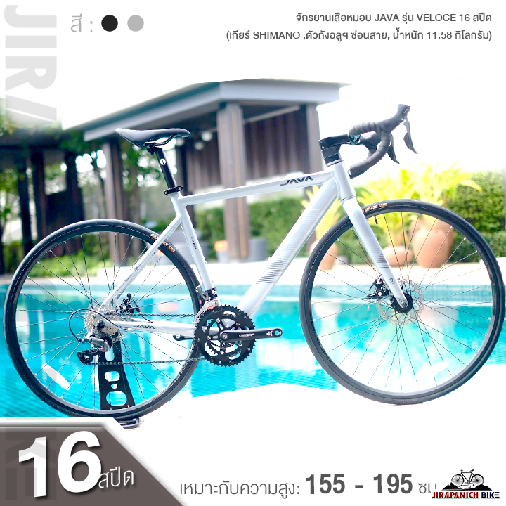 (ลดสูงสุด999.- พิมพ์HGVSP999)จักรยานเสือหมอบ JAVA รุ่น VELOCE 16 สปีด (เกียร์ SHIMANO ,ตัวถังอ ...
