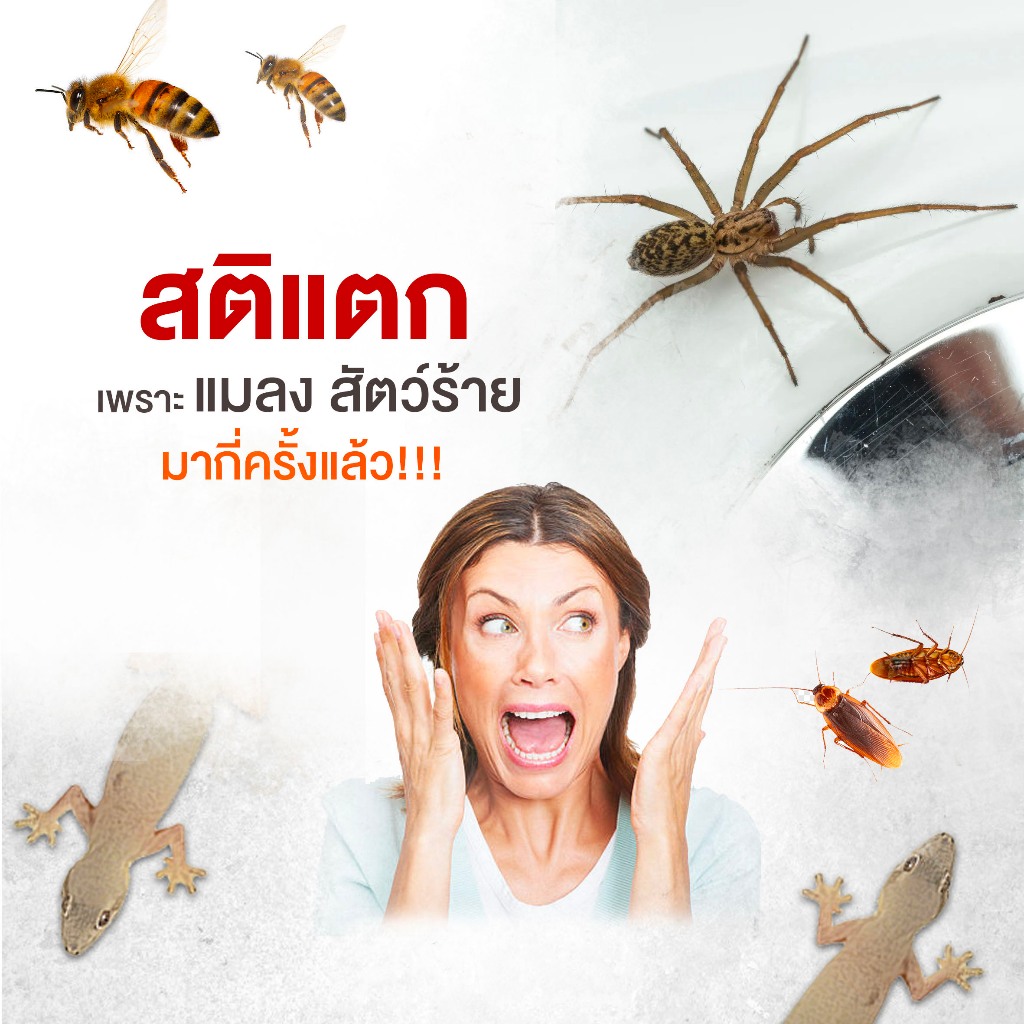 รุ่นด้ามยาว handy.b ไม้จับแมลงและสัตว์มีพิษ แมลงสาบ จิ้งจก แมงมุม ...