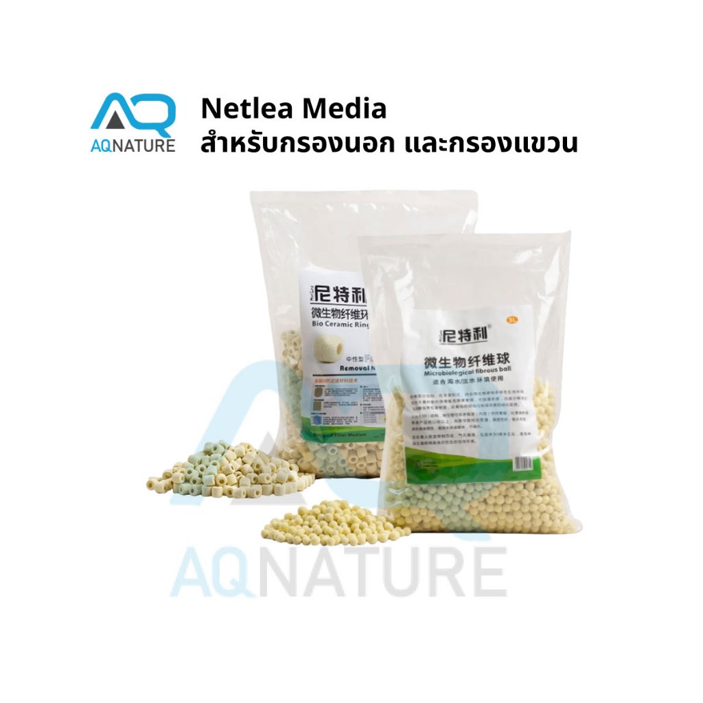 Netlea Media วัสดุกรองแบบ Ring และ Ball รูพรุนสูงมากเป็นที่อยู่ ...