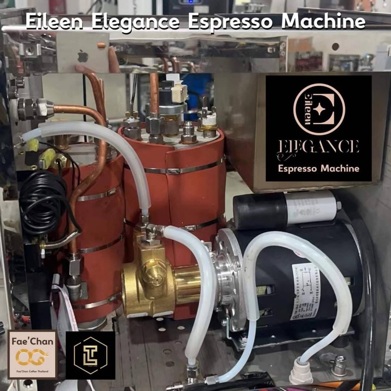 Eileen Elegance Epresso Machine | Shopee Thailand
