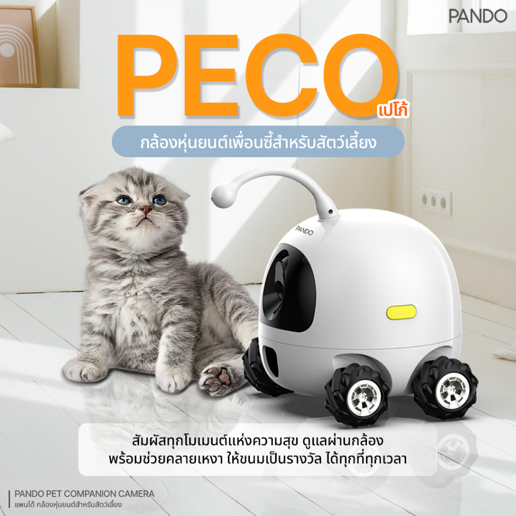 Pando Pet Companion หุ่นยนต์ติดกล้อง เพื่อนเล่นสัตว์เลี้ยง | Shopee ...