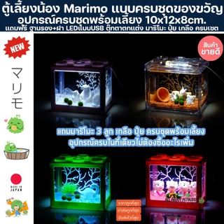 ช้อป มาริโมะ เซต ง่าย ๆ บน Shopee | มี.ค. 2025