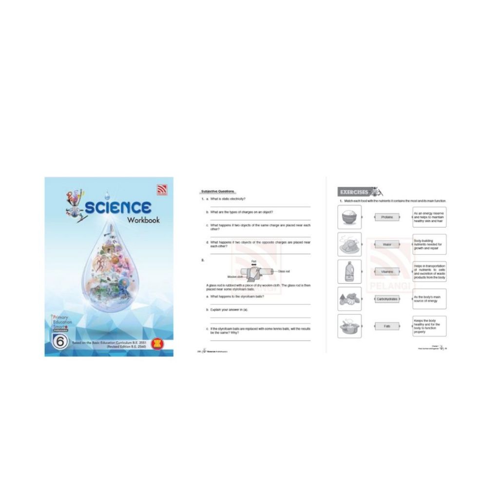 หนังสือเรียน Primary Education Smart Plus Science Workbook | Shopee ...
