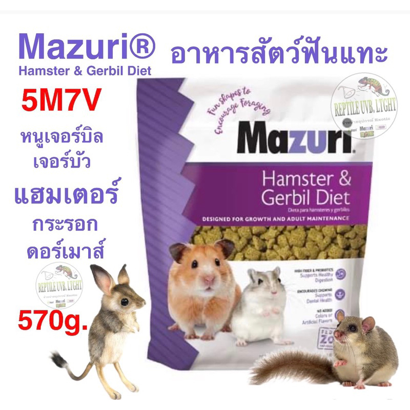 Mazuri® Rat & Mouse Diet อาหารหนู กลุ่มสัตว์ฟันแทะกินพืช หนูRat หนูไมค์ ...