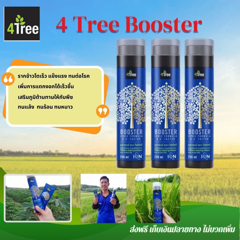 Booster ( 4 Tree) | Shopee Thailand