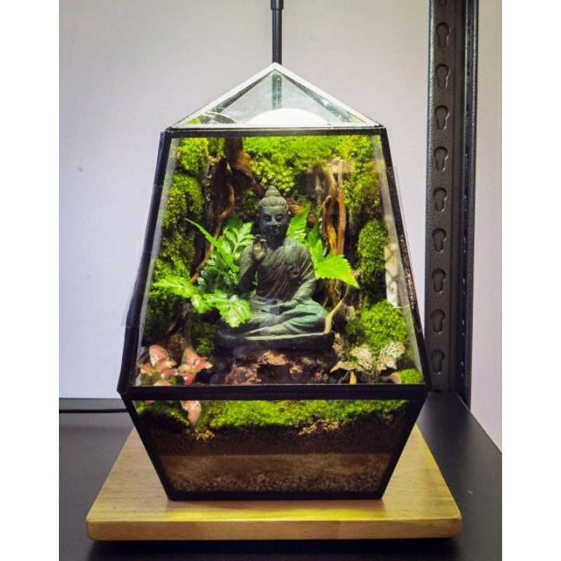 Geometric Terrarium Buddha statue(สวนขวดแก้ว) | Shopee Thailand