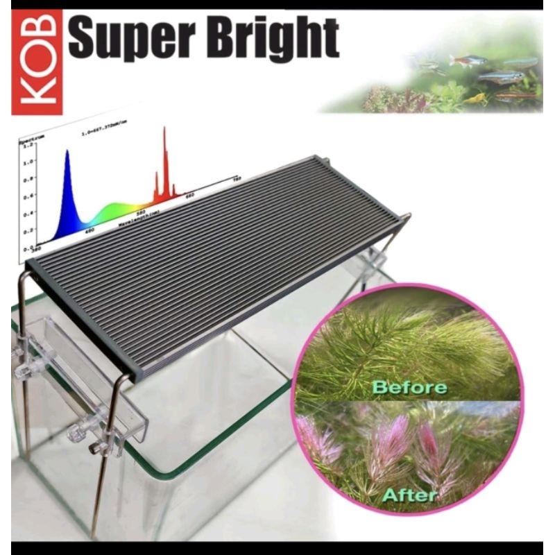 KOB Super Bright โคมไฟLED สำหรับเลี้ยงพืชน้ำและพืชบก ขนาด 120นิ้ว ...