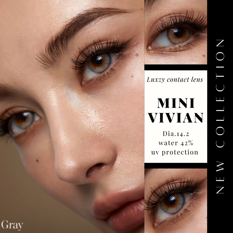 Premium Luxzy lens Mini Vivian Brown/ Gray /(เลนส์ขนาดกลางโตกว่าดวงตา ...