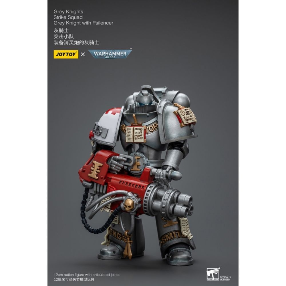 (JOYTOY) Grey Knights Strike Squad Grey Knight with Psilencer JT9008 ...