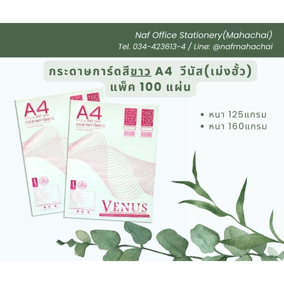 กระดาษการ์ด สีขาว A4 125แกรม / 160แกรม วีนัส (แพ็ค100แผ่น) | Shopee Thailand
