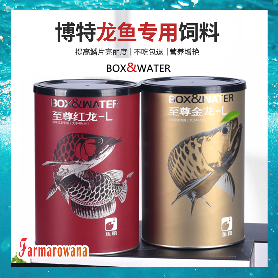 Box&Wate Protein46% เร่งสี เร่งโต อาหารเม็ดปลามังกรเกรดพรีเมี่ยม มี ...