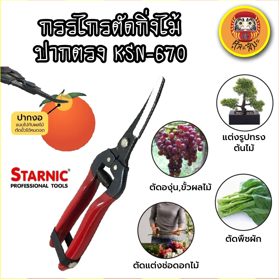STARNIC กรรไกรตัดกิ่งไม้ ปากตรง KSN-670 ของญี่ปุ่น กล้วยไม้ ดอก บอนไซ ผล ปากแหลม ปลายยก ใบมีด SK ...