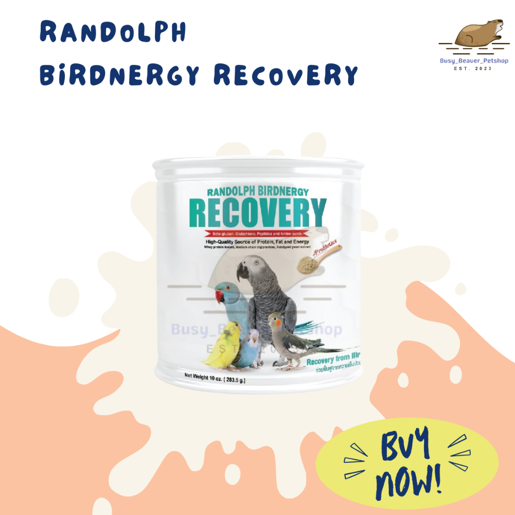 RANDOLPH BIRDNERGGY RECOVERY 283.5กรัม | Shopee Thailand
