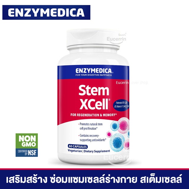 Enzymedica, Stem XCell, 60 Capsules เสริมสร้าง ซ่อมแซมเซลล์ร่างกาย ส ...