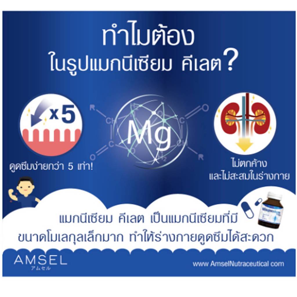 Amsel Magnesium Plus แอมเซล แมกนีเซียม พลัส (30 แคปซูล) | Shopee Thailand