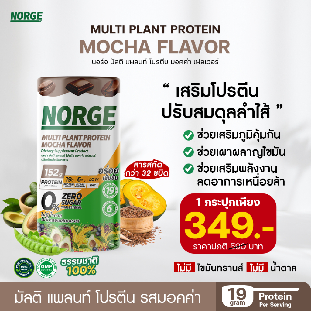 💥ส่งเร็วกทม.1วัน💥Norde Multi-Plant Protein มัลติแพลนท์ โปรตีน โปรตีนพืช 6 ชนิด รสมอคค่า โปรตีน ...
