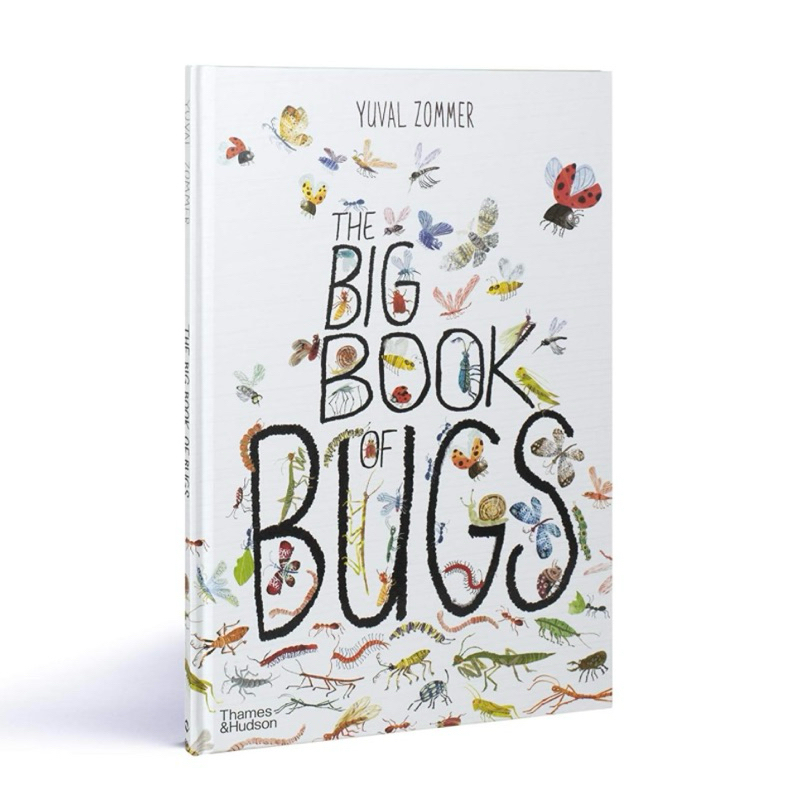 The Big Book of Bugs: Yuval Zommer (The Big Book series) | Shopee Thailand