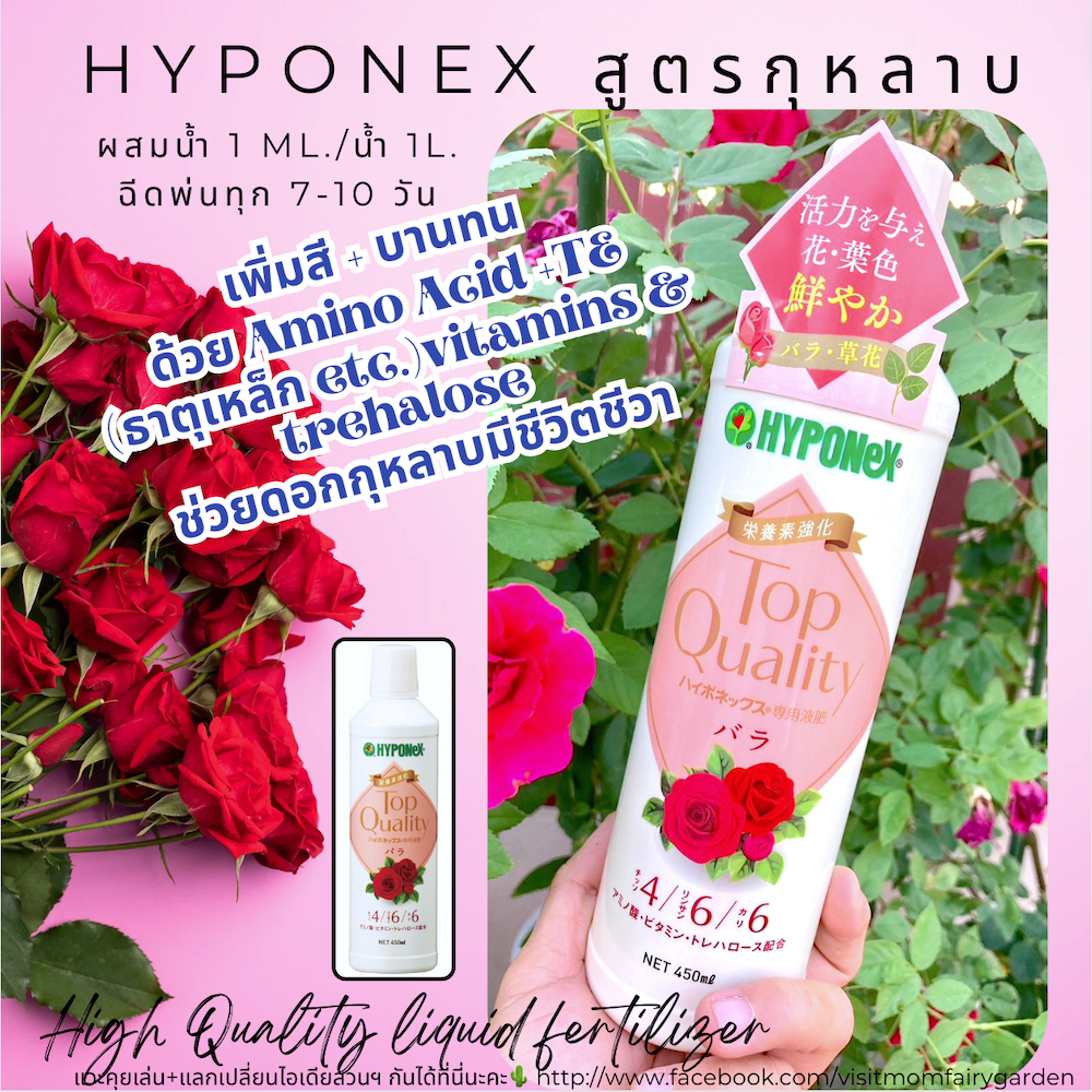 🌷 ปุ๋ยน้ำ Hyponex 450ml สูตรกุหลาบ เพิ่มสี บานทน ให้ดอกมีชีวิตชีวา | Shopee Thailand