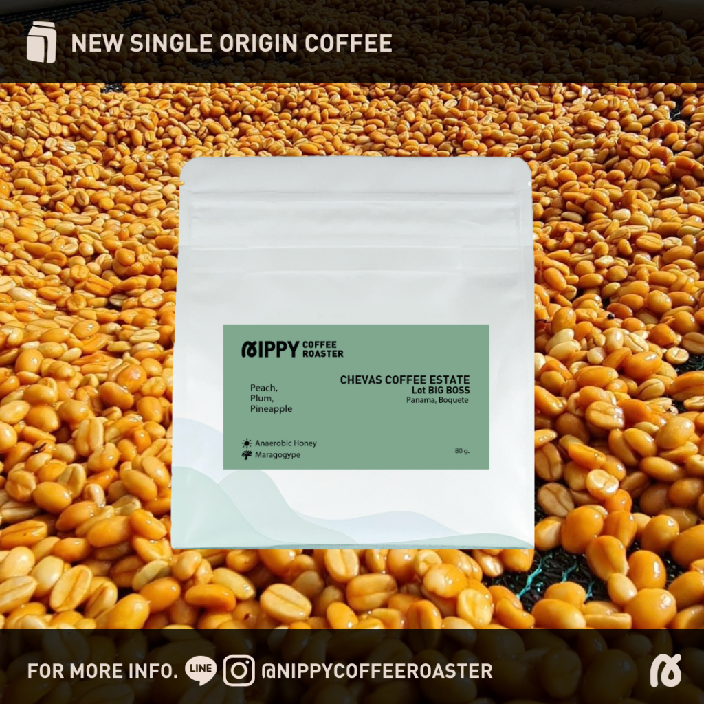 Nippy Coffee Roaster เมล็ดกาแฟคั่ว Chevas Coffee Estate Lot BIG BOSS ...
