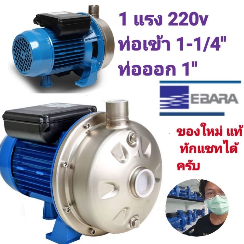 Ebara pump รุ่น cdxm-90/10 1เเรงม้า220v | Shopee Thailand