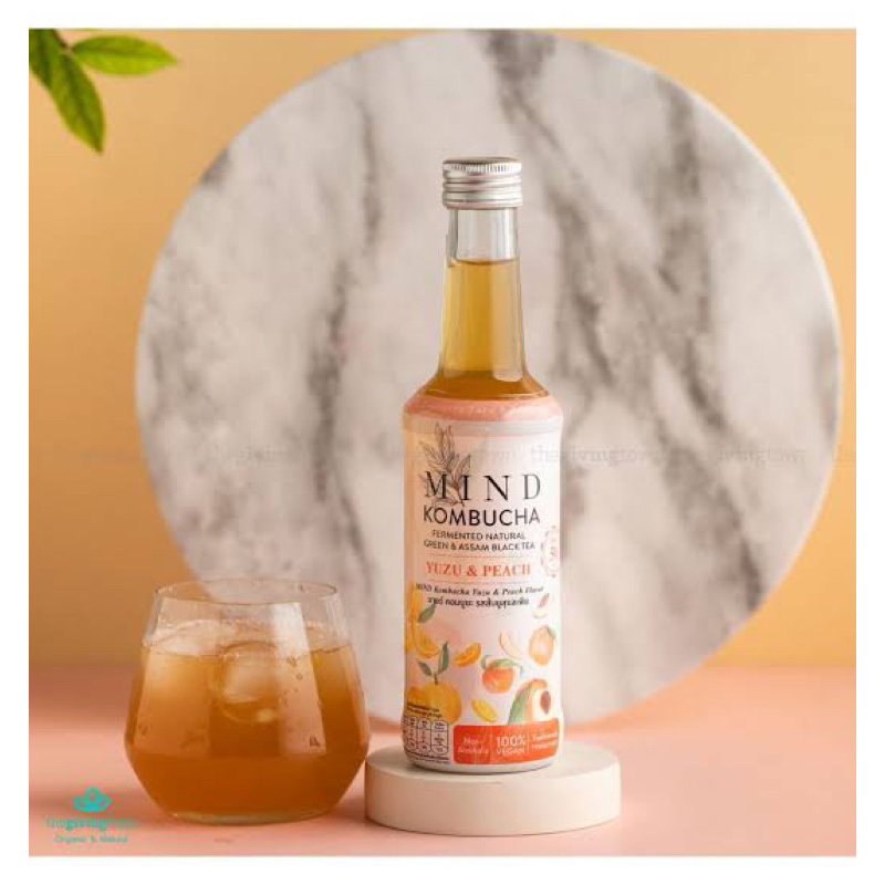 Mind kombucha 4รสชาติ คอมบูชะ ชาหมัก เพื่อสุขภาพ 250 มล. ขวดแก้ว fl | Shopee Thailand