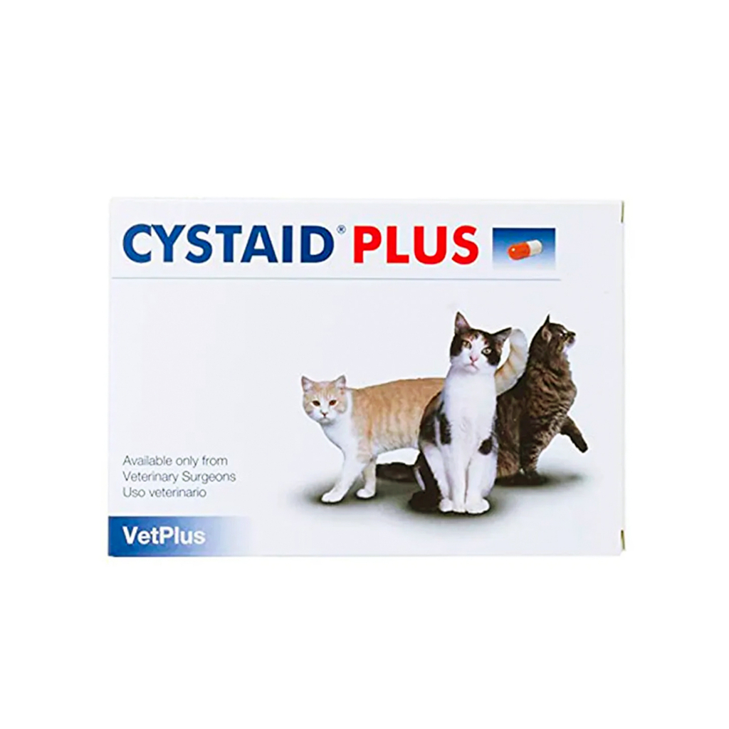 Cystaid Plus 🔥 Exp.1/12/2025 ของแท้ฉลากไทย ซิสเตท พลัส อาหารเสริมโปรตีน ...