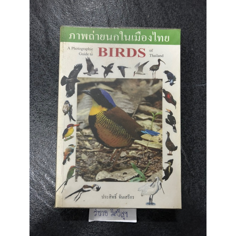 ภาพถ่ายนกในเมืองไทย A Photographie Guide to BIRDS of Thailand | Shopee ...