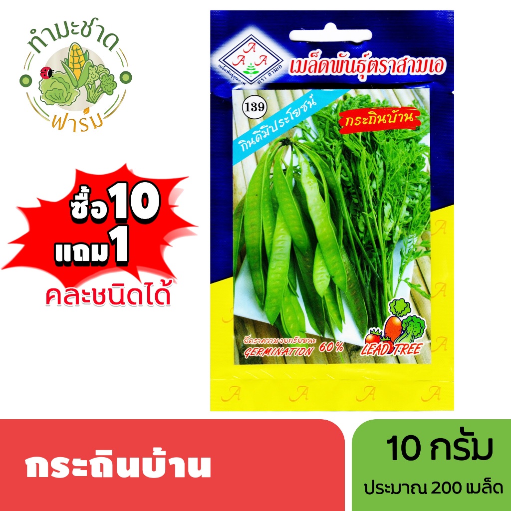 3A (ซื้อ10แถม1) เมล็ดพันธุ์ กระถินบ้าน ขนาด 10 กรัม ประมาณ 200 เมล็ด ...