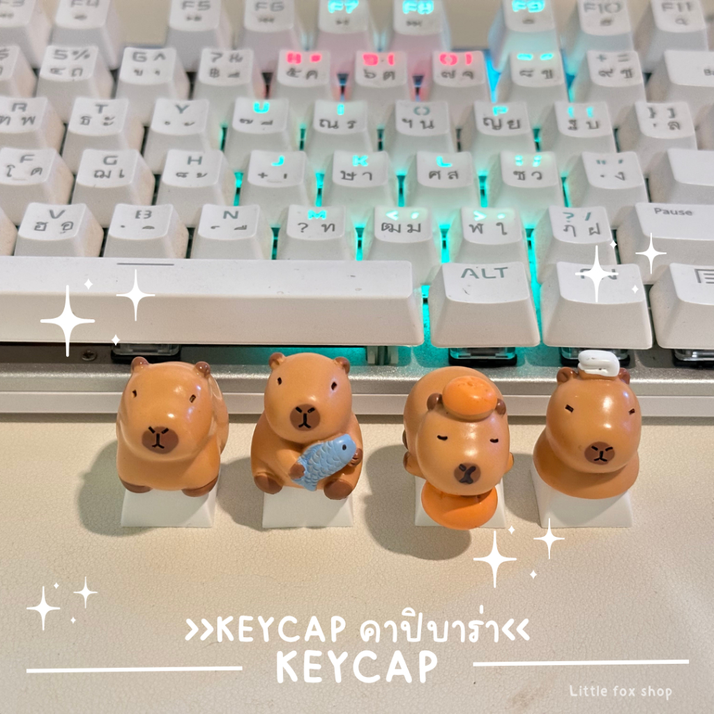 คีย์แคป keycap คาปิบาร่า | Shopee Thailand
