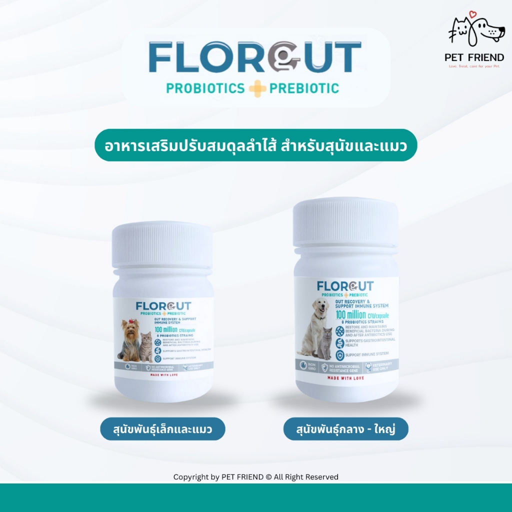 Florgut 🐶🐱 อาหารเสริมโพรไบโอติกส์และพรีไบโอติก ช่วยส่งเสริมระบบทางเดิน ...