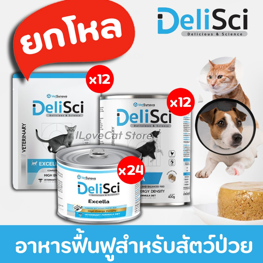【ยกโหล】DeliSci Excella Excellent recovery อาหารฟื้นฟูสัตว์ป่วย ขาด ...