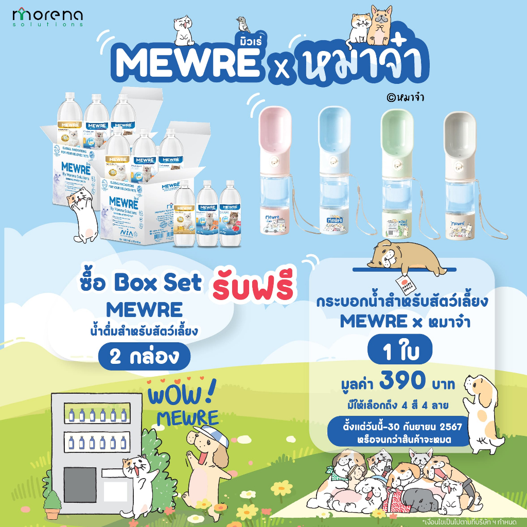 MEWRE x หมาจ๋า กระบอกน้ำสัตว์เลี้ยงลิขสิทธิ์เเท้หมาจ๋า (DP-002x1) | Shopee Thailand