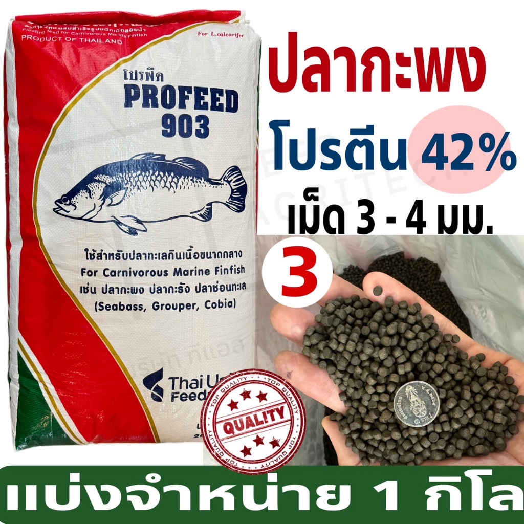อาหารปลากระพง #903# โปรฟีด โปรตีน 42% อาหารปลาทะเล แบ่งขาย ( 1 กก. ) | Shopee Thailand