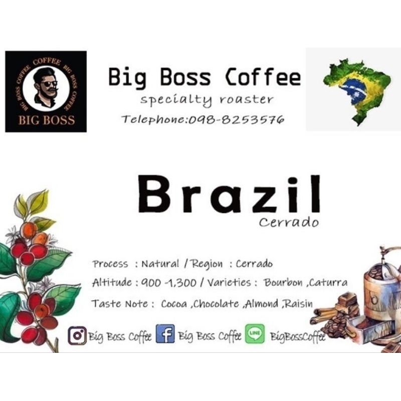 Brazil cerrado(Natural fine cup) | Shopee Thailand