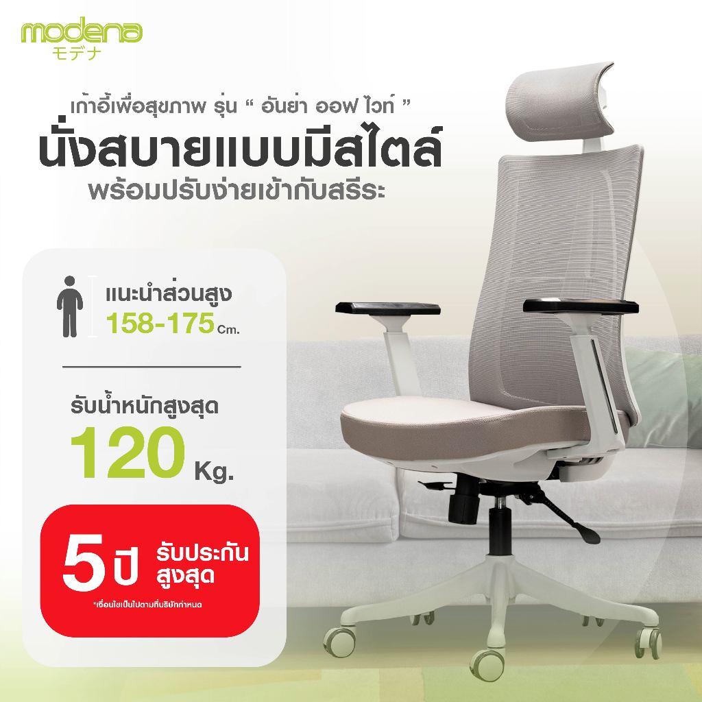 [พร้อมจัดส่ง] Modena เก้าอี้เพื่อสุขภาพ รุ่น Anya Off-White - ออก E-Tax ได้ | Shopee Thailand