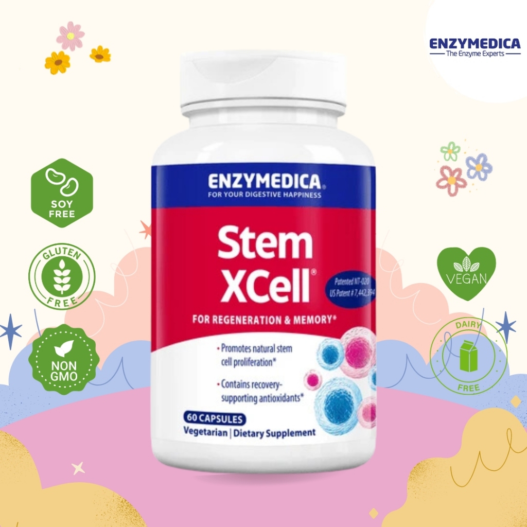 Enzymedica Stem XCell - 60 Capsules ⭐⚡กระตุ้นการสร้างเซลล์ใหม่และบำรุง ...