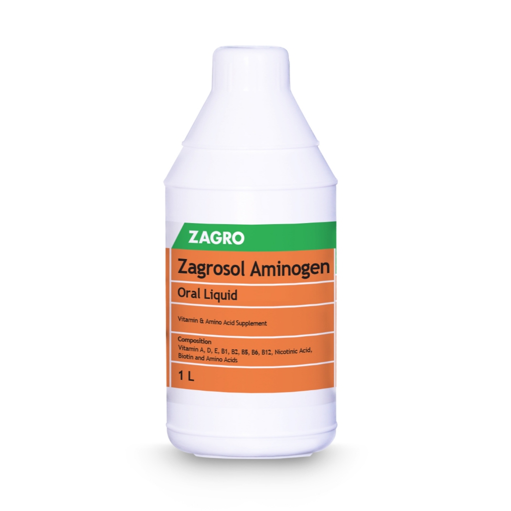 [ส่งตรงจากบริษัท] ซาโกรโซล อะมิโนเจน Zagrosol Aminogen วิตามินน้ำ ช่วย ...