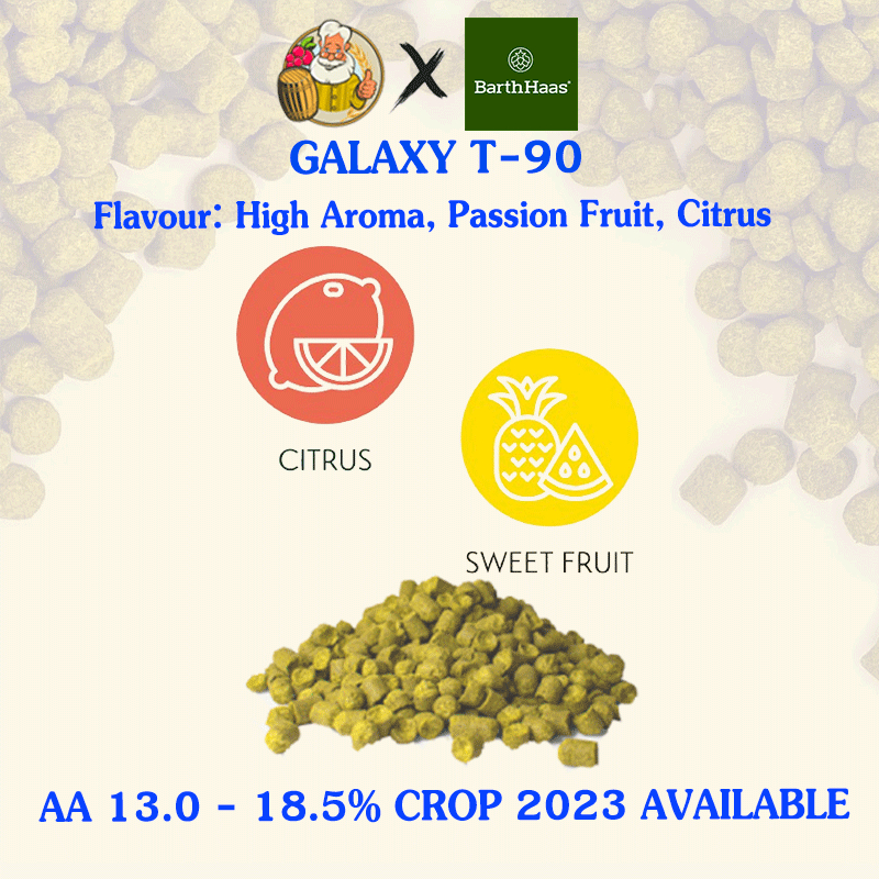 Galaxy (AUS) PELLET HOPS (T90) Crop Year 2023 hops ทำเบียร์ hops beer ฮ ...