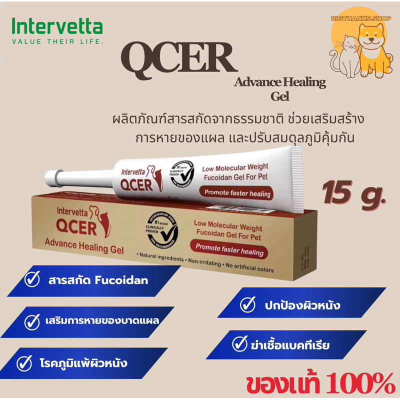 (( แบบเจล)) Intervetta QCER Advanced Healing Gel Exp.08/26 ขนาด 15 g. สำหรับให้แผลช่วยให้หายเร็ว ...