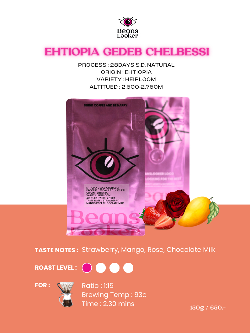 Beanslooker เมล็ดกาแฟ EHTIOPIA GEDEB CHELBESSI | Shopee Thailand
