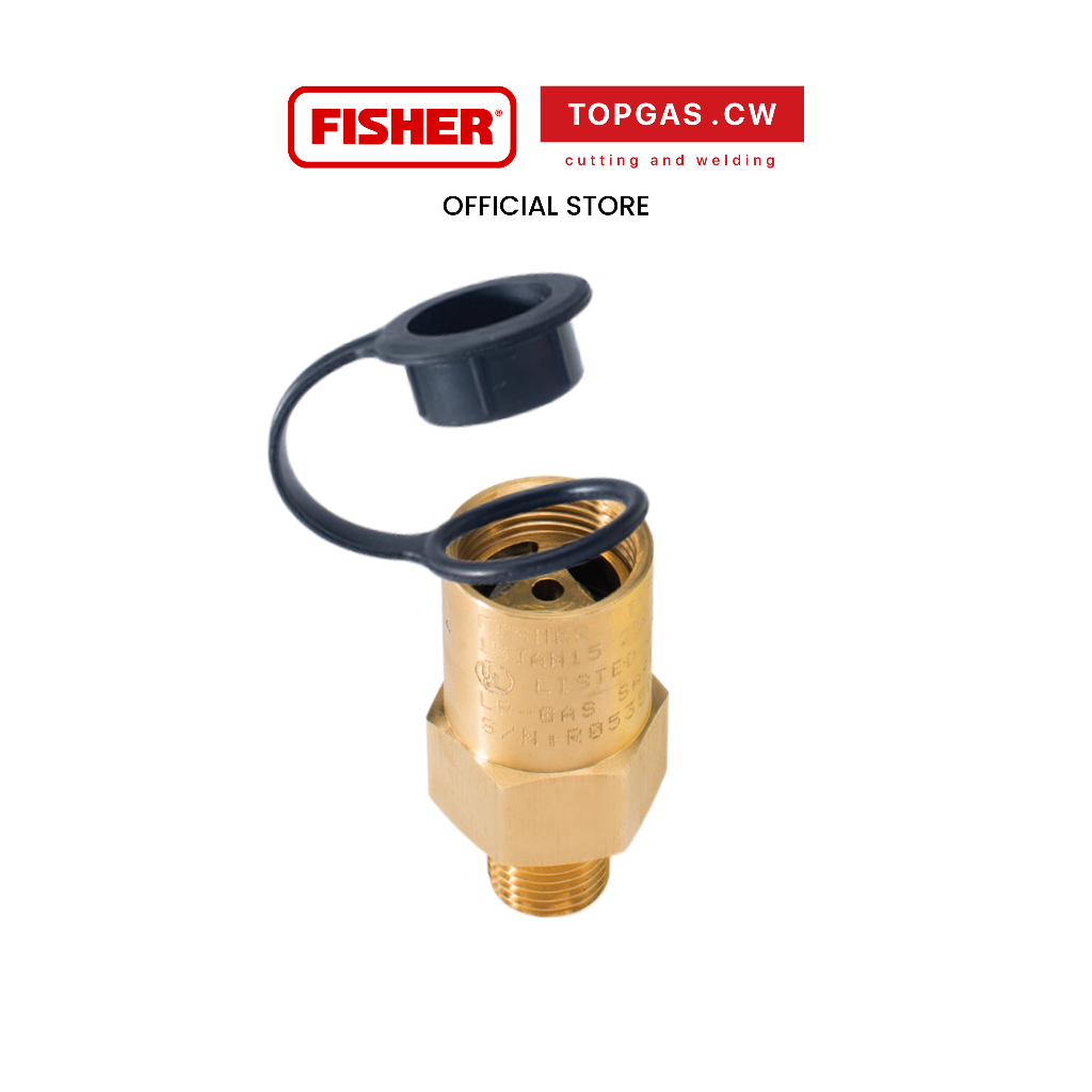 วาล์วนิรภัยกันระเบิด Safety Relief Valve Fisher รุ่น H110, H123 ...