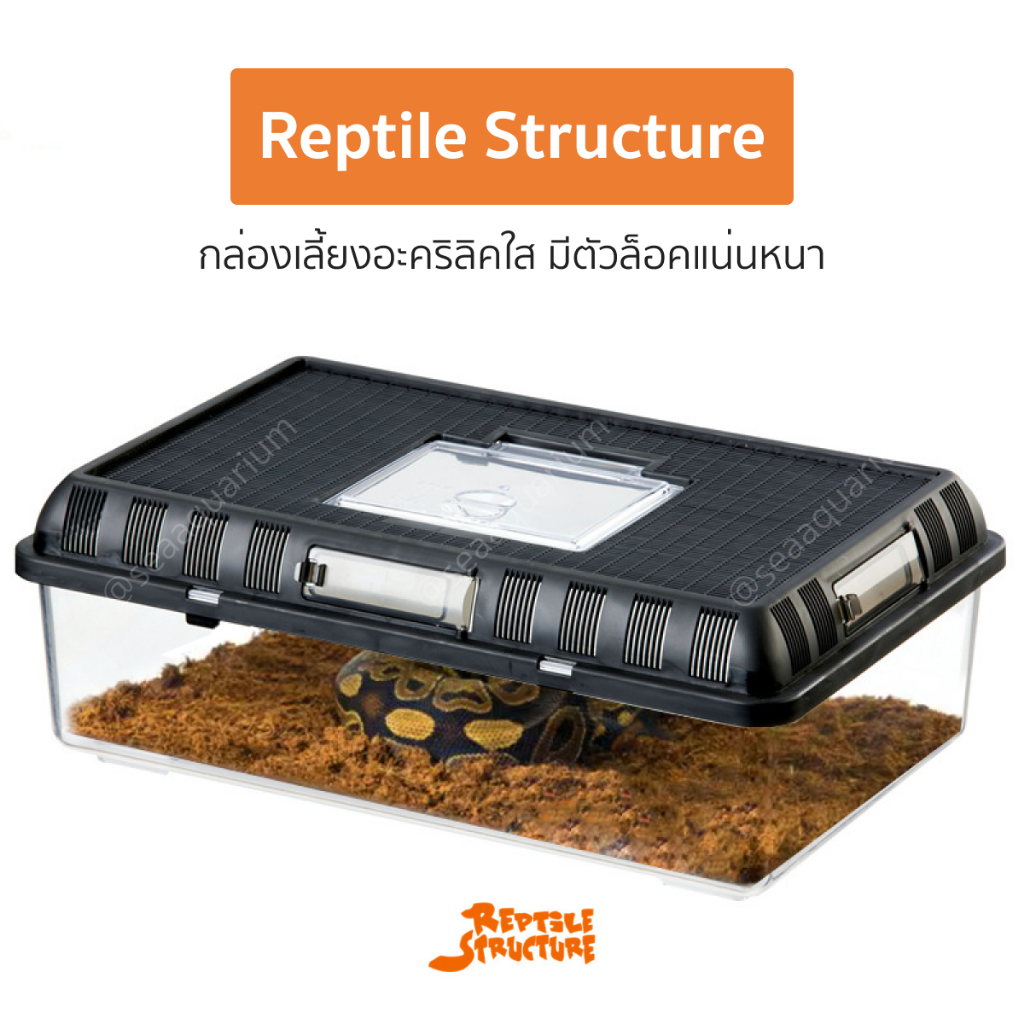 Reptile Structure กล่องเลี้ยงสัตว์เลื้อยคลาน กล่องอะคริลิคใส่สัตว์ ...