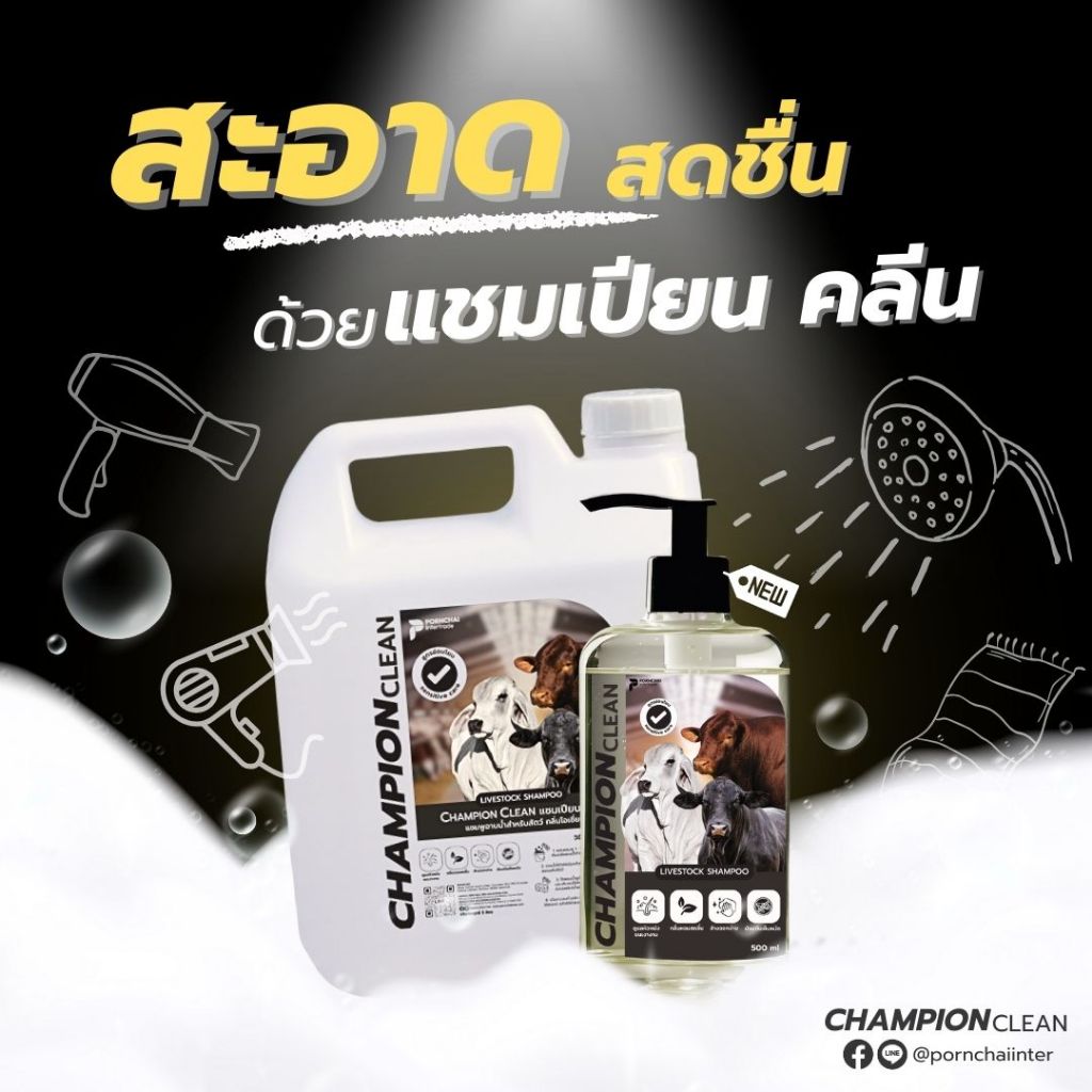 แชมพูอาบน้ำสำหรับโค/วัว Champion Clean กลิ่นโอเชียน ขนาด 500 มล. ...