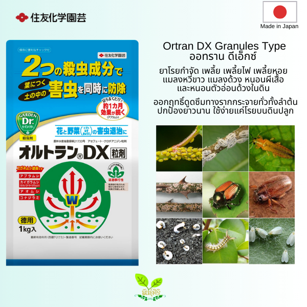 Ortran DX Granules ออทราน ดีเอ็กซ์ ยาโรยกำจัด เพลี้ย เพลี้ยไฟ เพลี้ยหอย ...