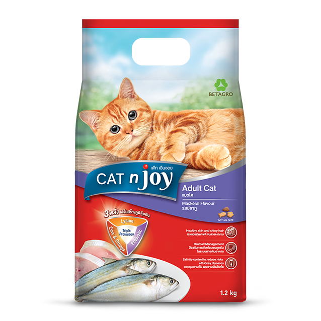 Cat n joy อาหารเม็ดแมว 400 กรัม รสปลาทู | Shopee Thailand