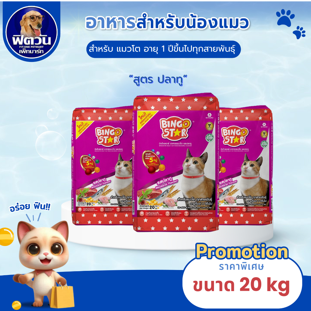 BINGO STAR Mackerrel Flavour(Adult) อาหารแมวโตอายุ1ปีขึ้นไป รสปลาทู 20 ...