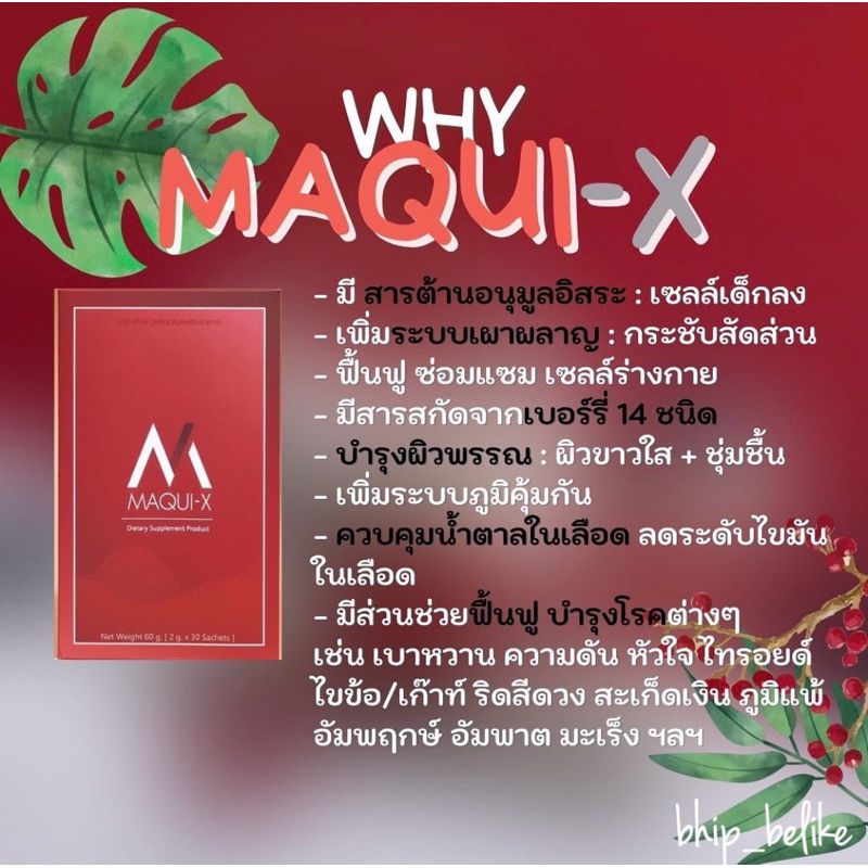 MAQUI-X 🍇(มากิ-เอ็กซ์) | Shopee Thailand