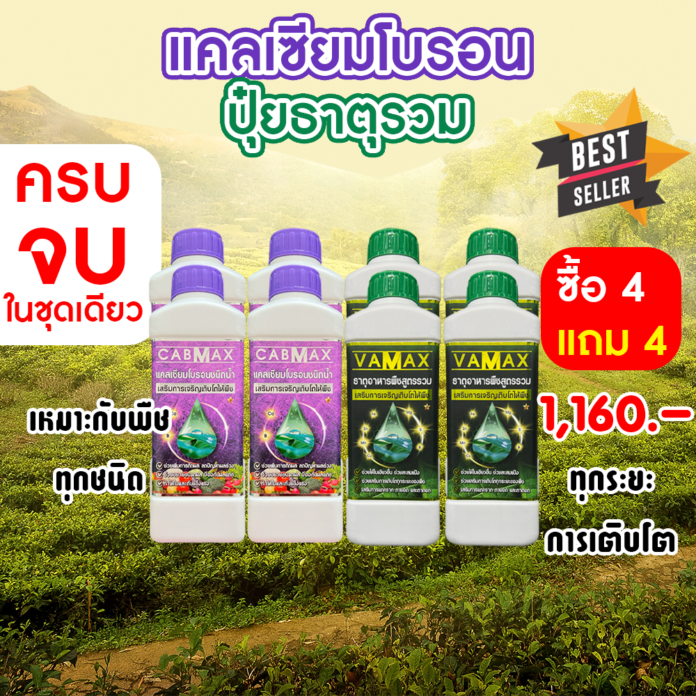 ( 4แถม4 ) CABMAX แคลเซียมและโบรอนเข้มข้น + VAMAX ธาตุอาหารรวมเข้มข้น 8 ...