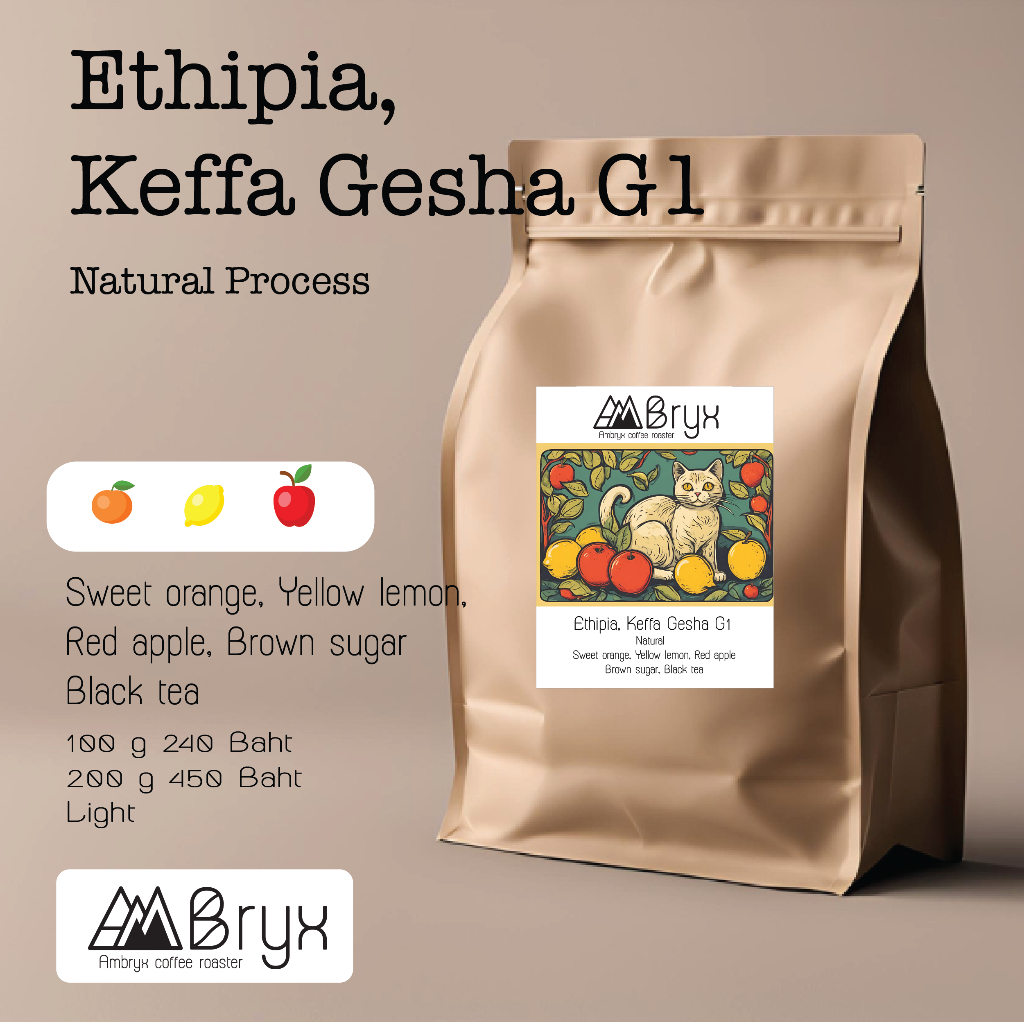 เมล็ดกาแฟ Ethiopia Keffa Gesha G1 Natural เมล็ดกาแฟคั่ว ไม่บด | Shopee ...