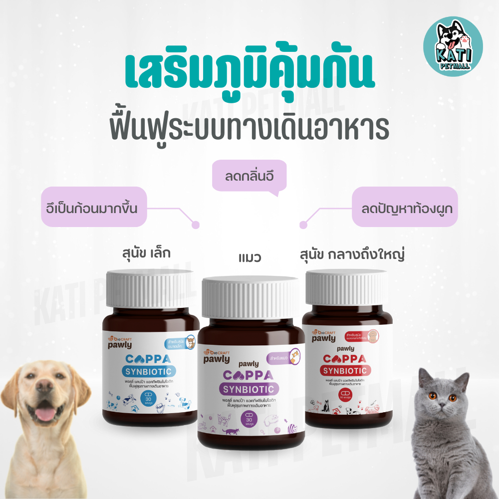 Pawly Cappa อาหารเสริม ปรับสมดุล ฟื้นฟูร่างกาย แอคทีฟซินไบโอติก ช่วยฟื้นฟูระบบทางเดินอาหารของ ...